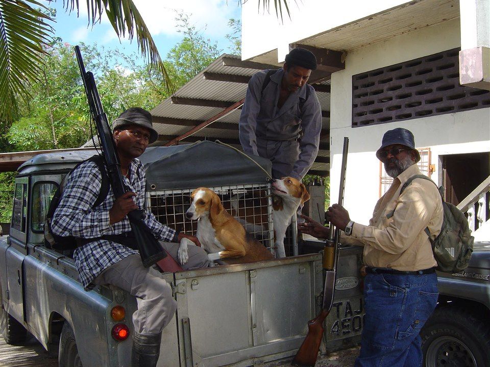 Police, game wardens checking for hunting permits - Trinidad Guardian