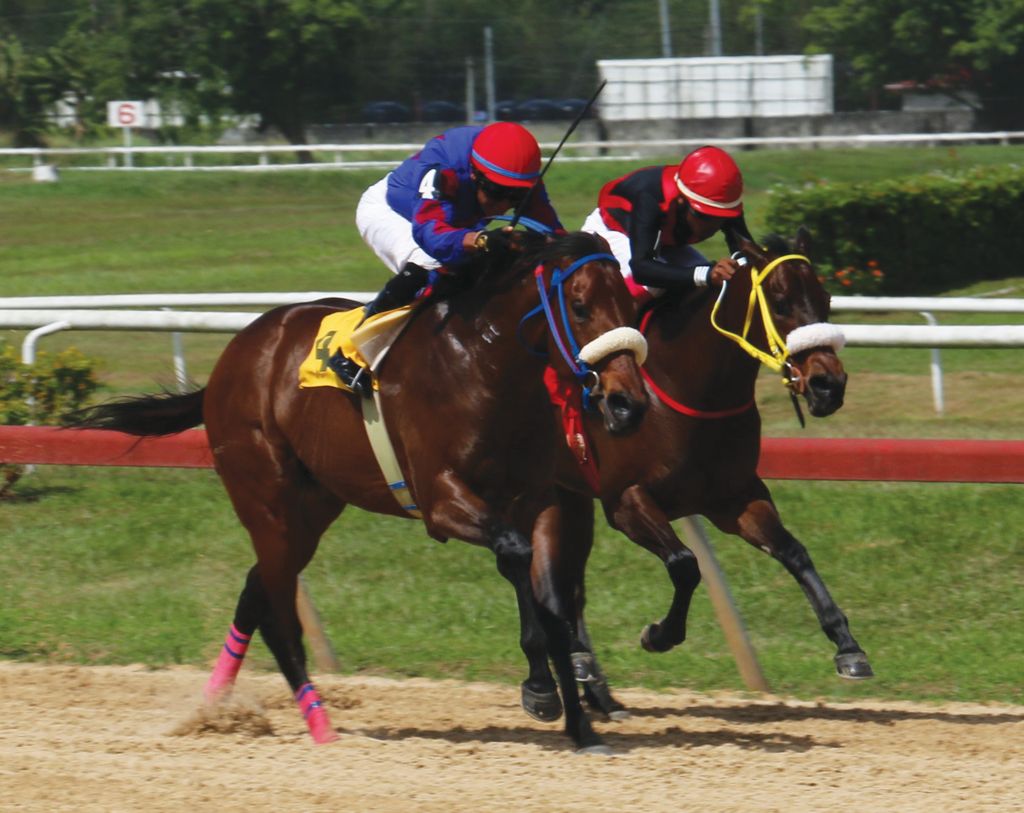 Chadee's "Intension" is regal - Trinidad Guardian