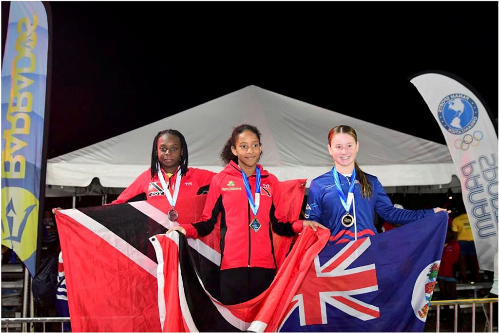 Chatoor bags CCCAN silver - Trinidad Guardian