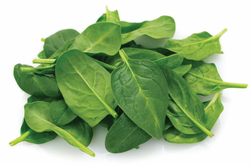 Spinach - Trinidad Guardian