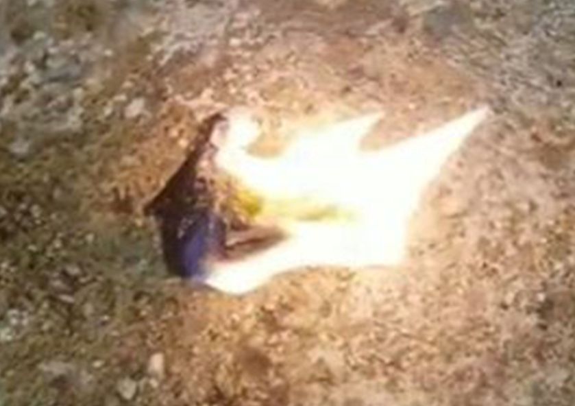 Bat burning act under probe - Trinidad Guardian