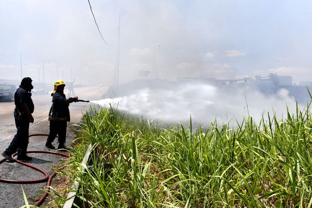Fire fighters stop bush fire near Couva Hospital - Trinidad Guardian