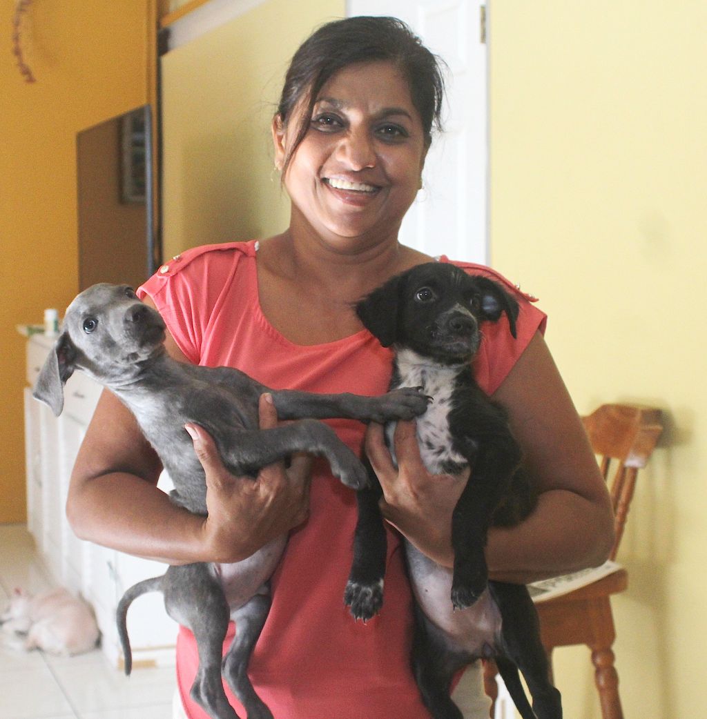 Four-member organisation doing all to save pets - Trinidad Guardian