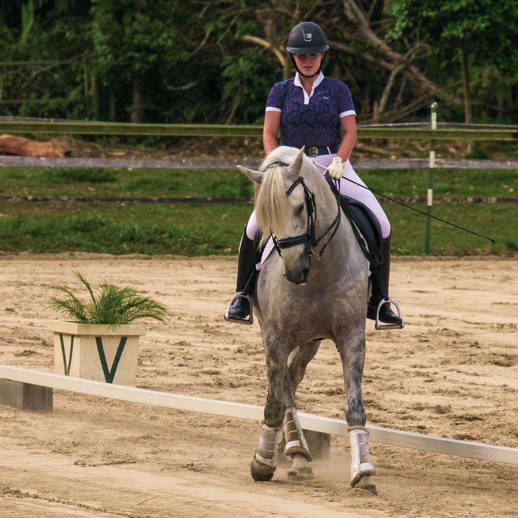 Dressage success for Sabga Aboud - Trinidad Guardian