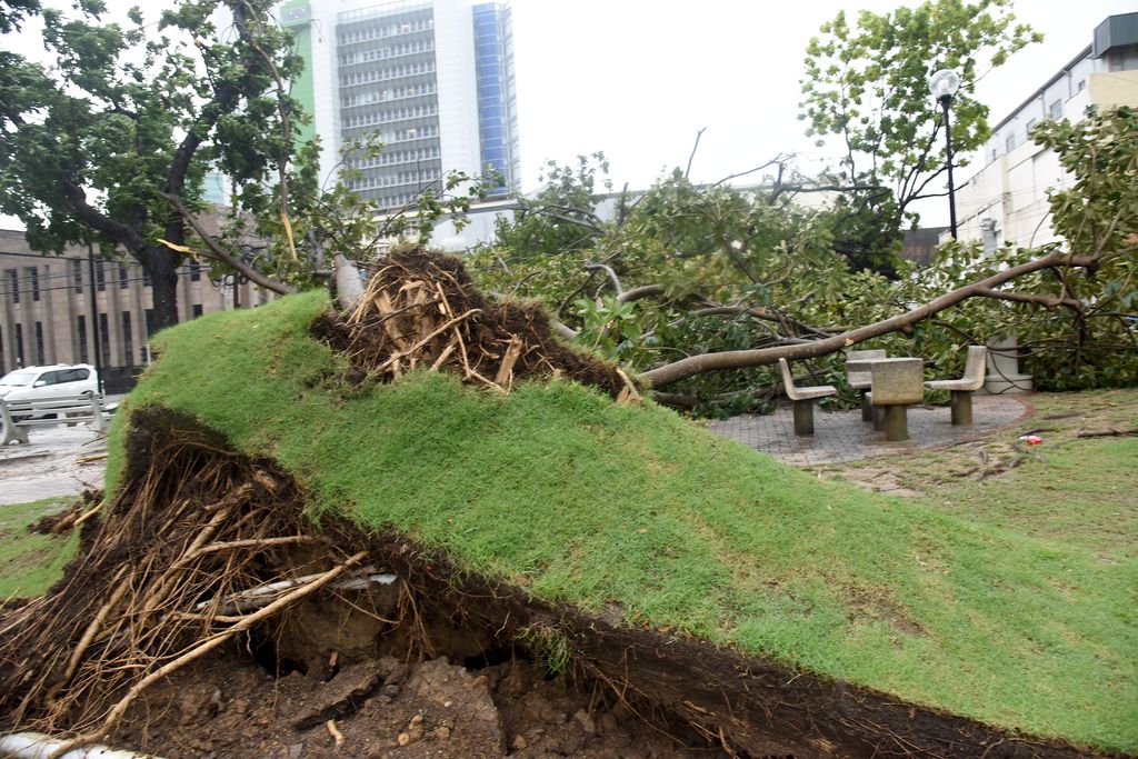 Torrential showers, strong winds remove roofs, down trees - Trinidad ...