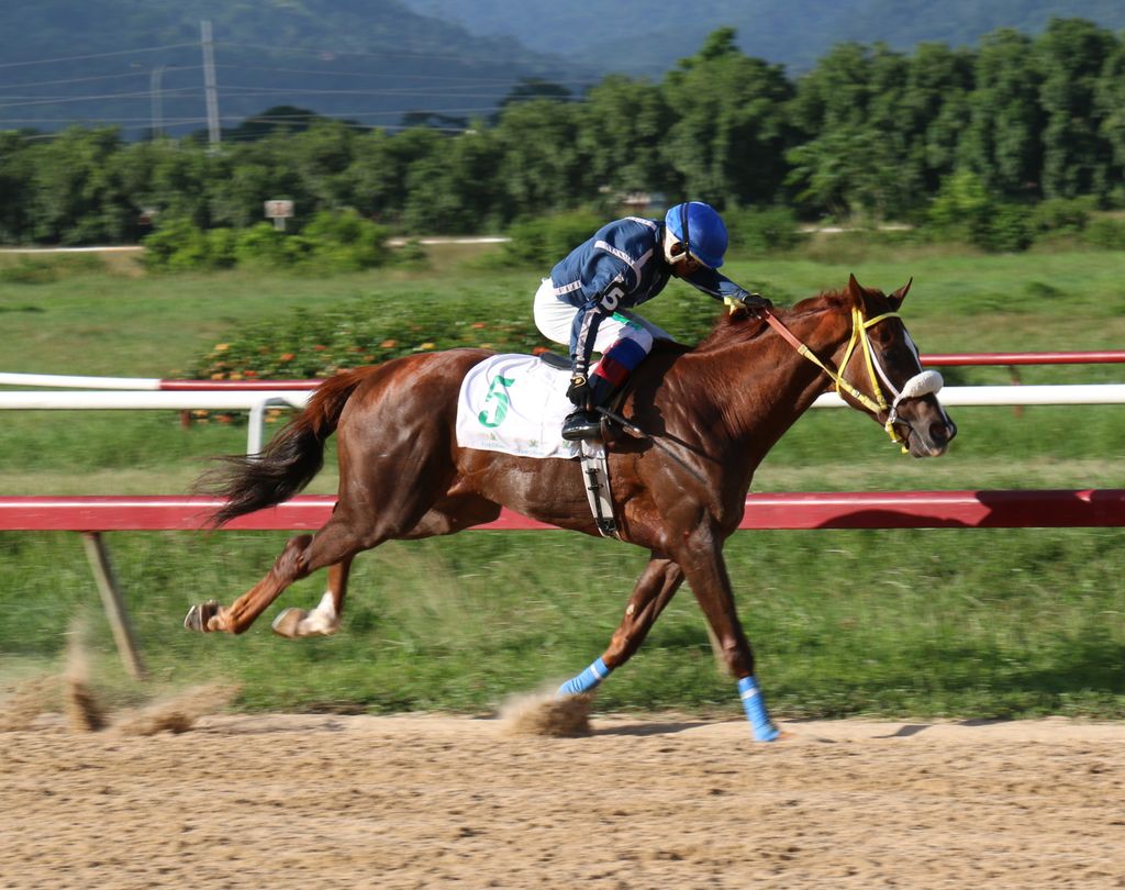 O'Brien wins with Wise Guy and Bella Riva - Trinidad Guardian
