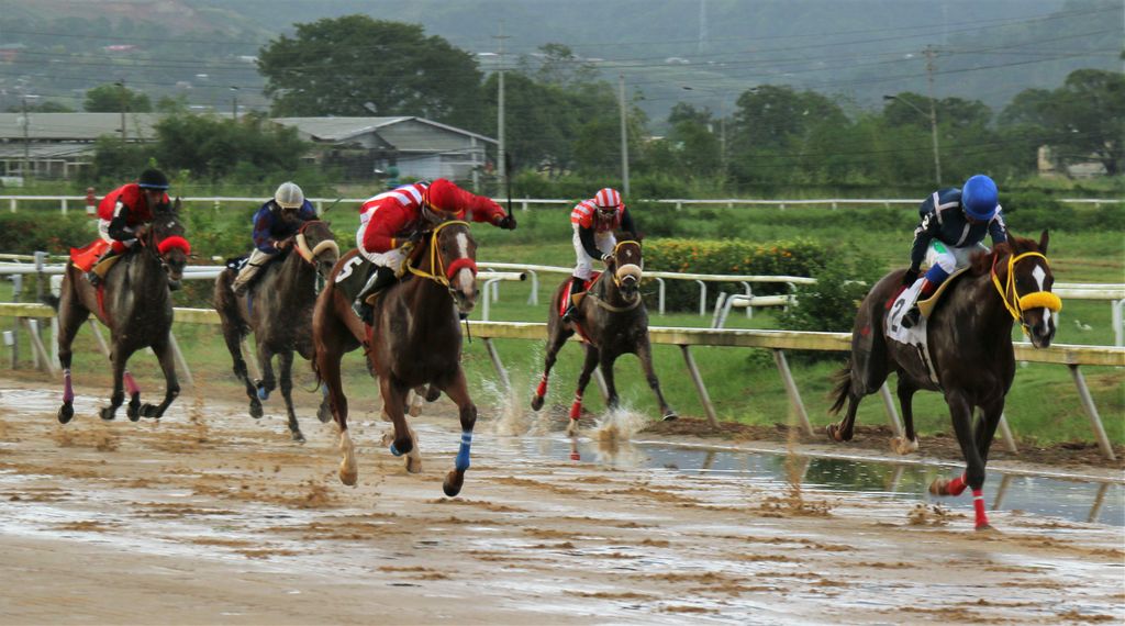 Wise Guy takes NLCB Classic - Trinidad Guardian