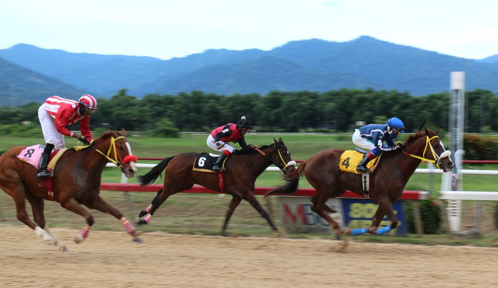 Midsummer Classic to set new record - Trinidad Guardian