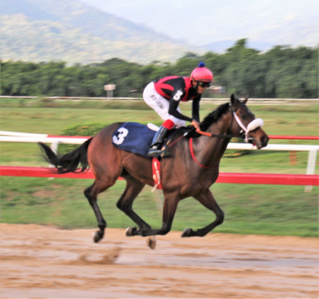 61 entered for day 3 - Trinidad Guardian
