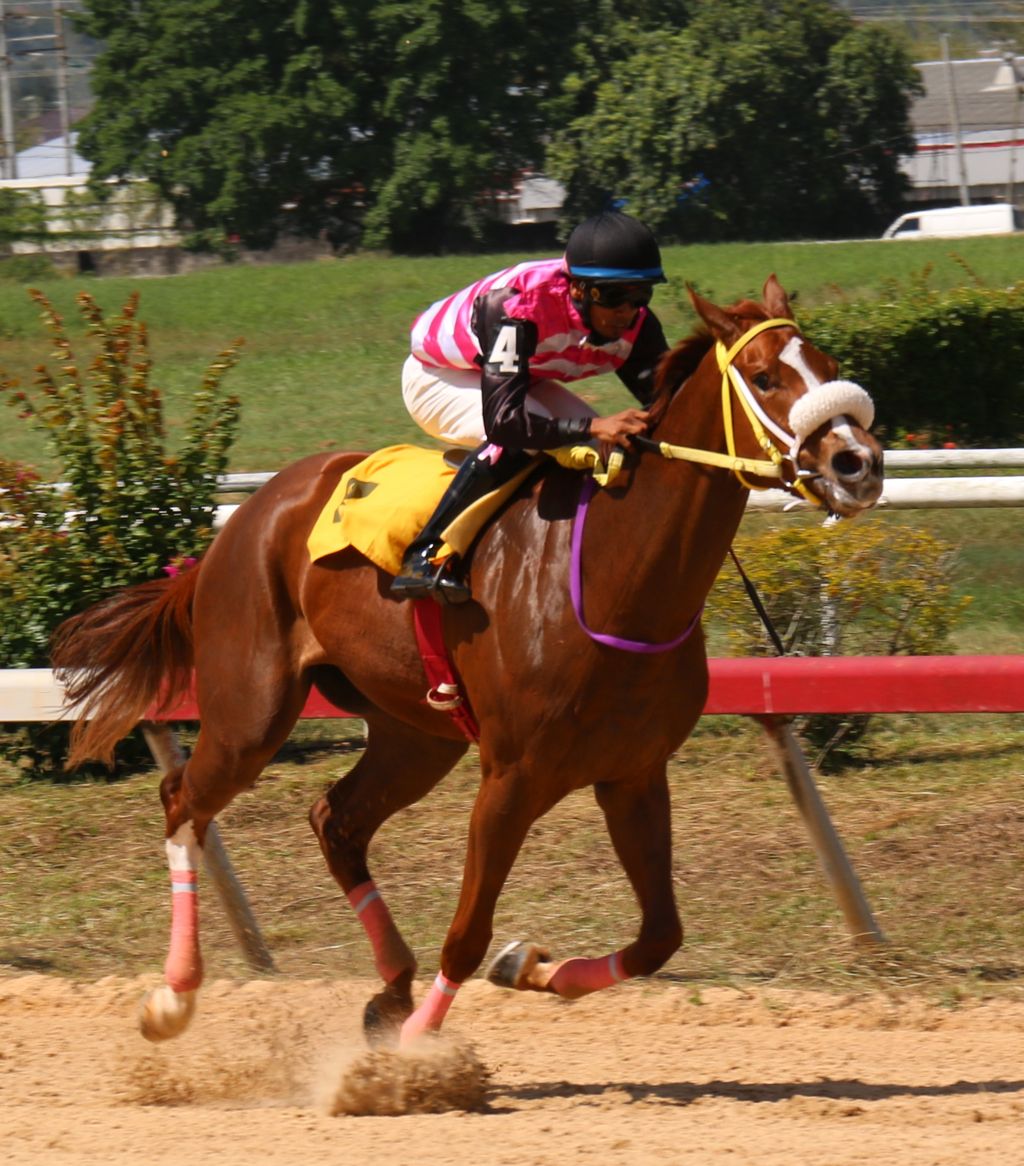 Gold Cup finale at Santa Rosa today - Trinidad Guardian