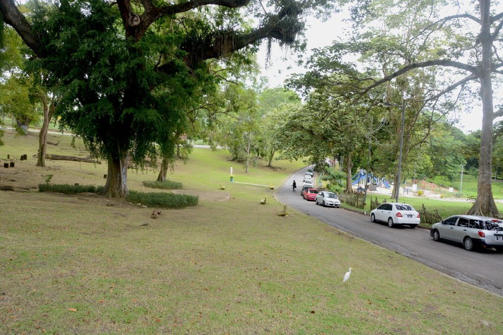 Historians lobby for Palmiste Park to be made botanic gardens ...