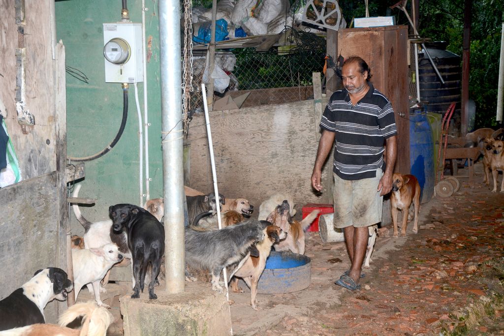 Good Samaritan dog rescuer needs help - Trinidad Guardian