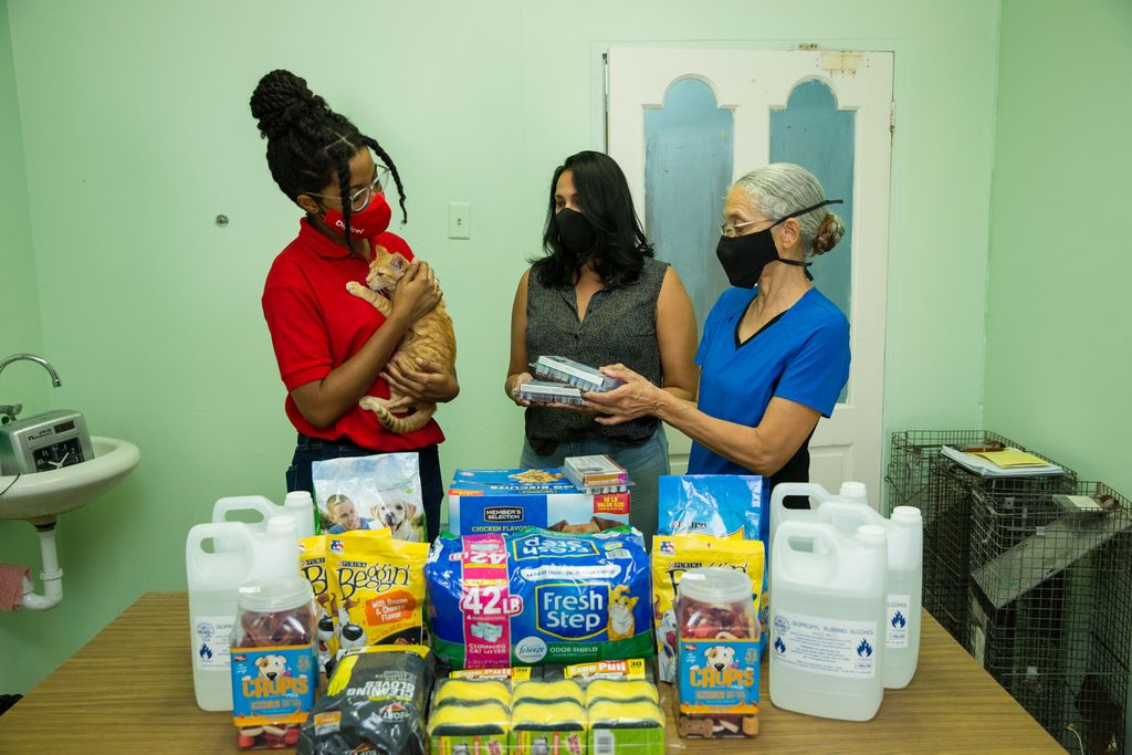 TTSPCA receives donation from Digicel Foundation - Trinidad Guardian