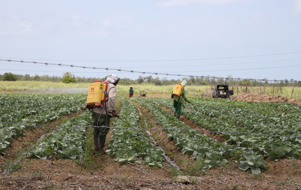 Call for agriculture to stop being treated like the black sheep ...