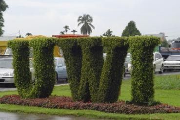 World Trade Organization partners with UWI to deliver Online Trade ...