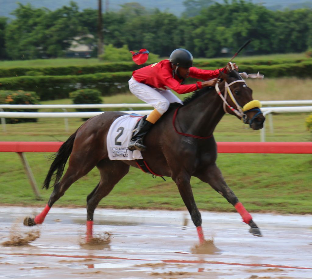 Making Headlines, Crown Prince go well - Trinidad Guardian