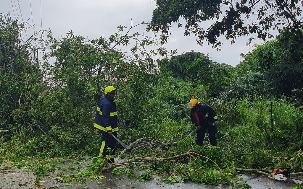 Fallen trees, high winds, more flash flooding - Trinidad Guardian