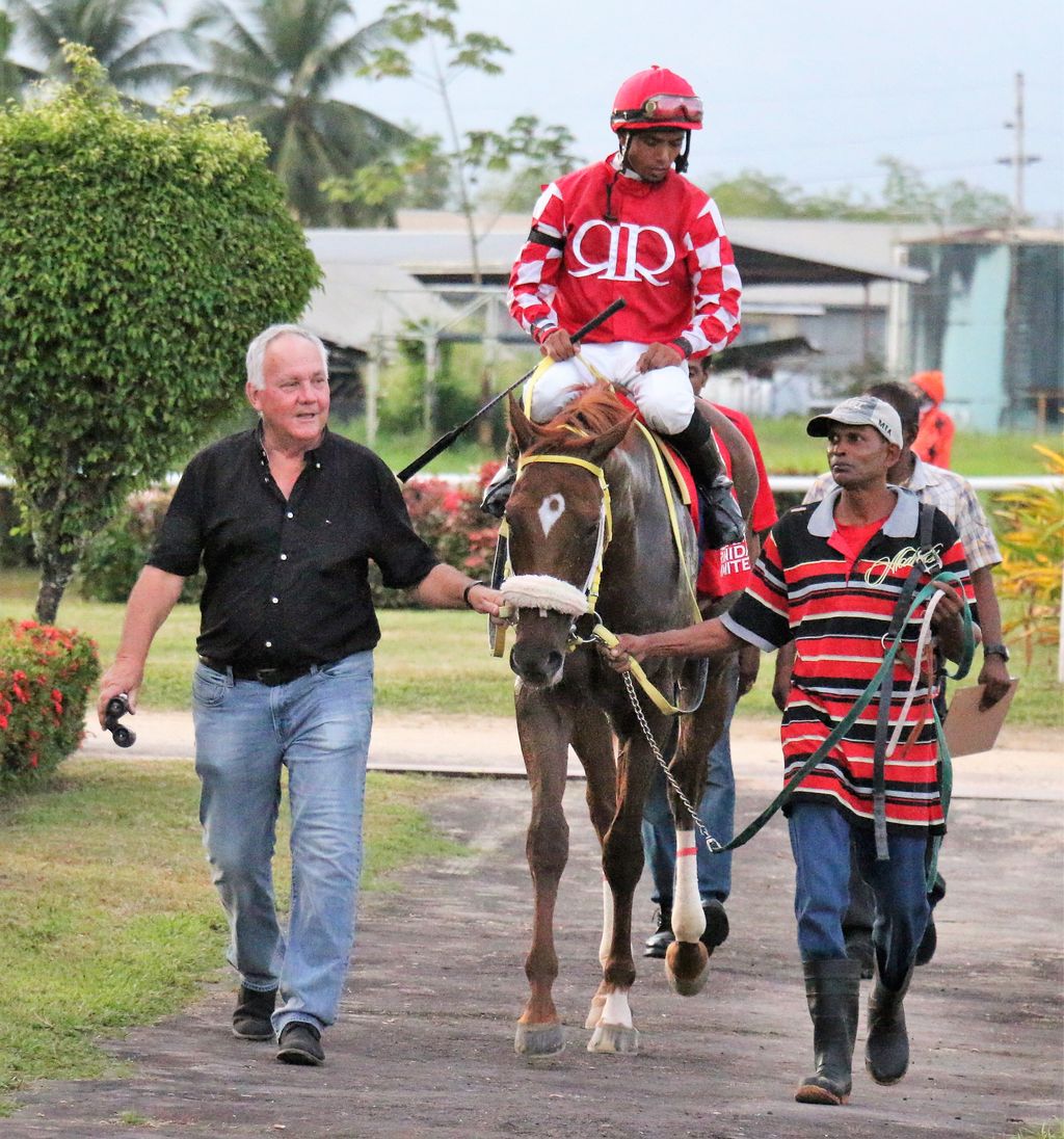 Stewards Cup - A great race in prospect - Trinidad Guardian