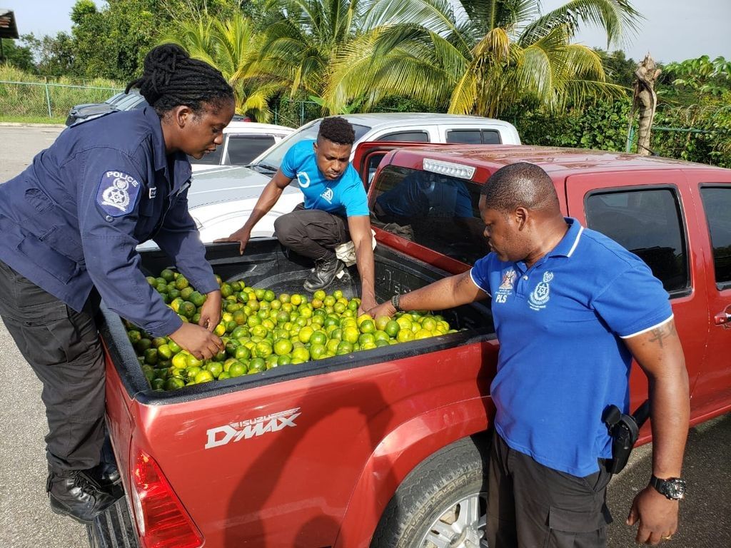 40 more officers to boost Predial Larceny Squad - Trinidad Guardian