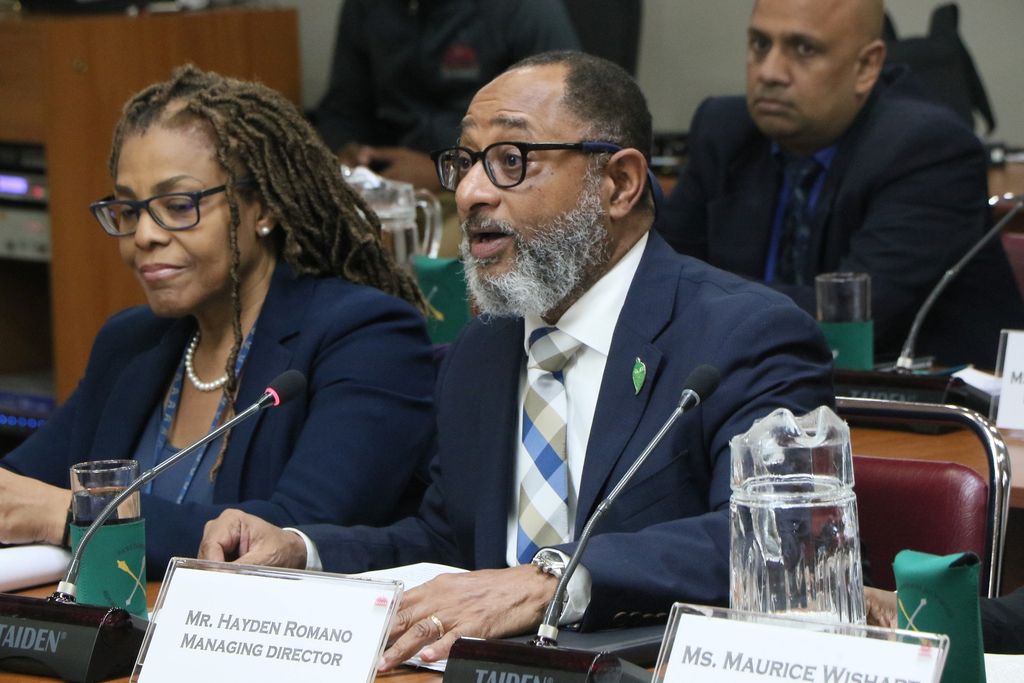 EMA favours noiseless fireworks - Trinidad Guardian