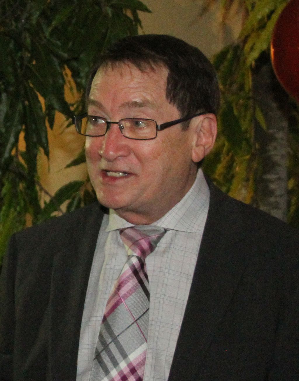 Firearms dealer fiasco raises red flags about citizens’ security–Hamel ...