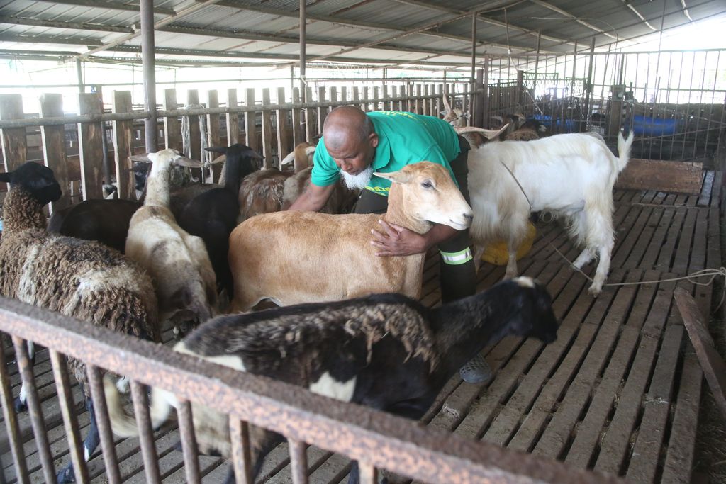 Carlsen Field farmers: We’re at the mercy of criminals - Trinidad Guardian