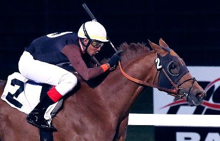 Bynoe wins feature but Whitehall, Balroop also star - Trinidad Guardian