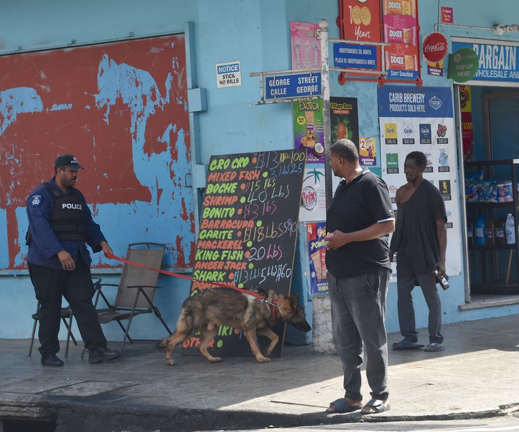 Outfitting of DPP’s Office among projects in 2024 Draft Estimates ...