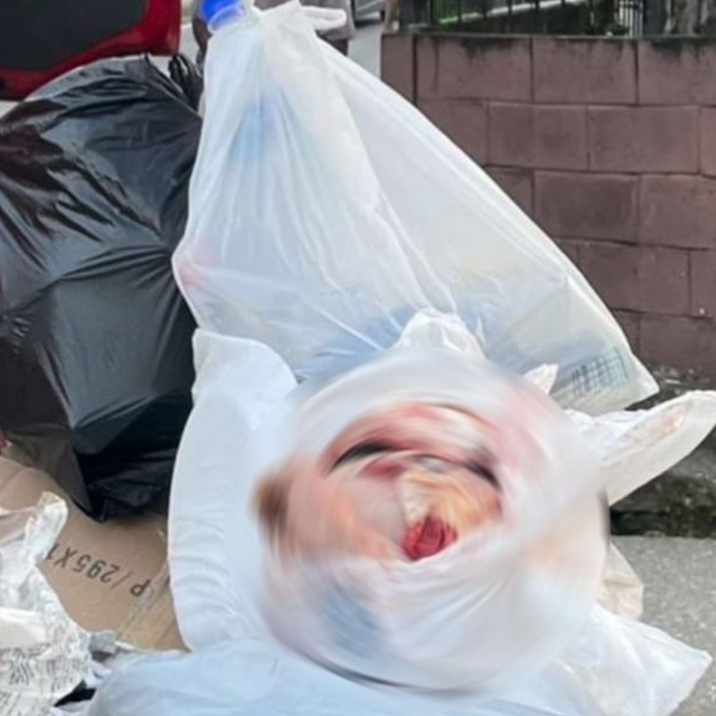 Baby found in garbage bag in Maraval - Trinidad Guardian