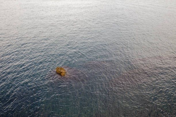 Man swims into Las Cuevas waters and eludes capture - Trinidad Guardian