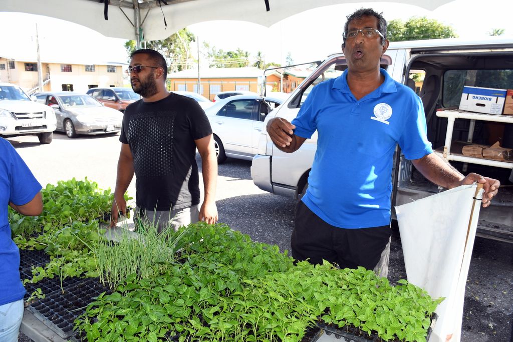 Professor Roger Hosein: Grow your own food to beat cost of living ...