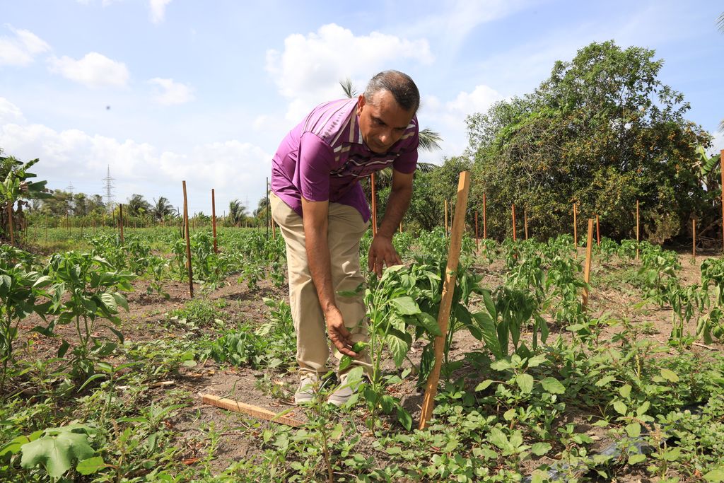 Help on the way for Rahamut farmers - Trinidad Guardian