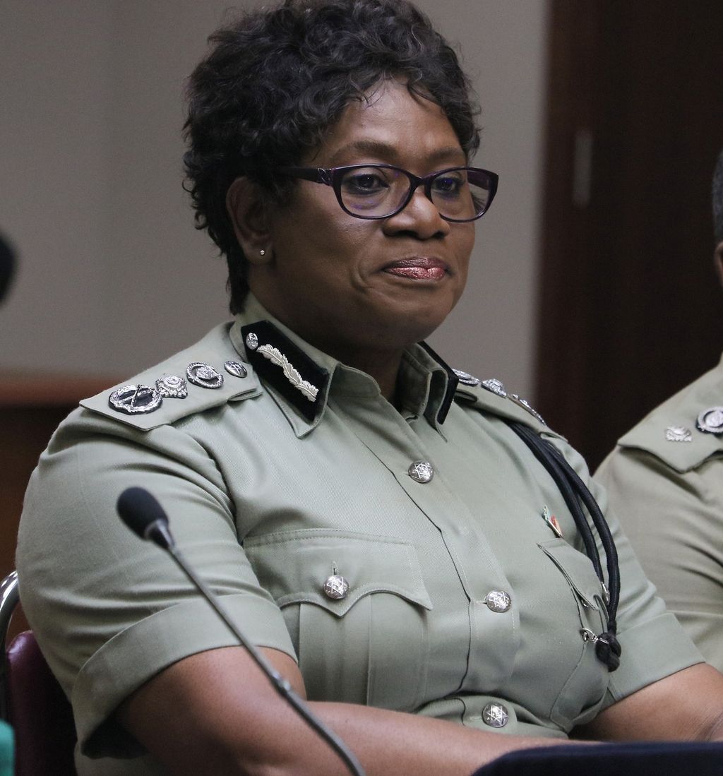 Investigator says probe of financial records ‘highly likely’ in Erla’s ...