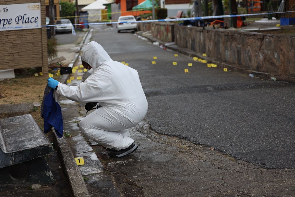 Budget reveals revival of counter crime project; former worker ...