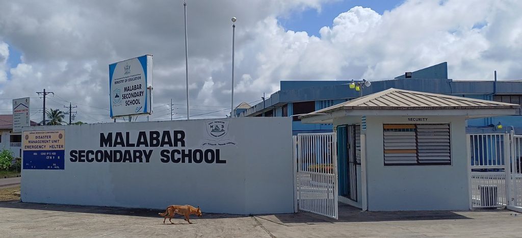 Fleas force closure of Malabar Secondary after teachers refuse to work ...