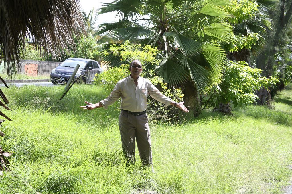 Robberies keep residents away from Palmiste Park - Trinidad Guardian