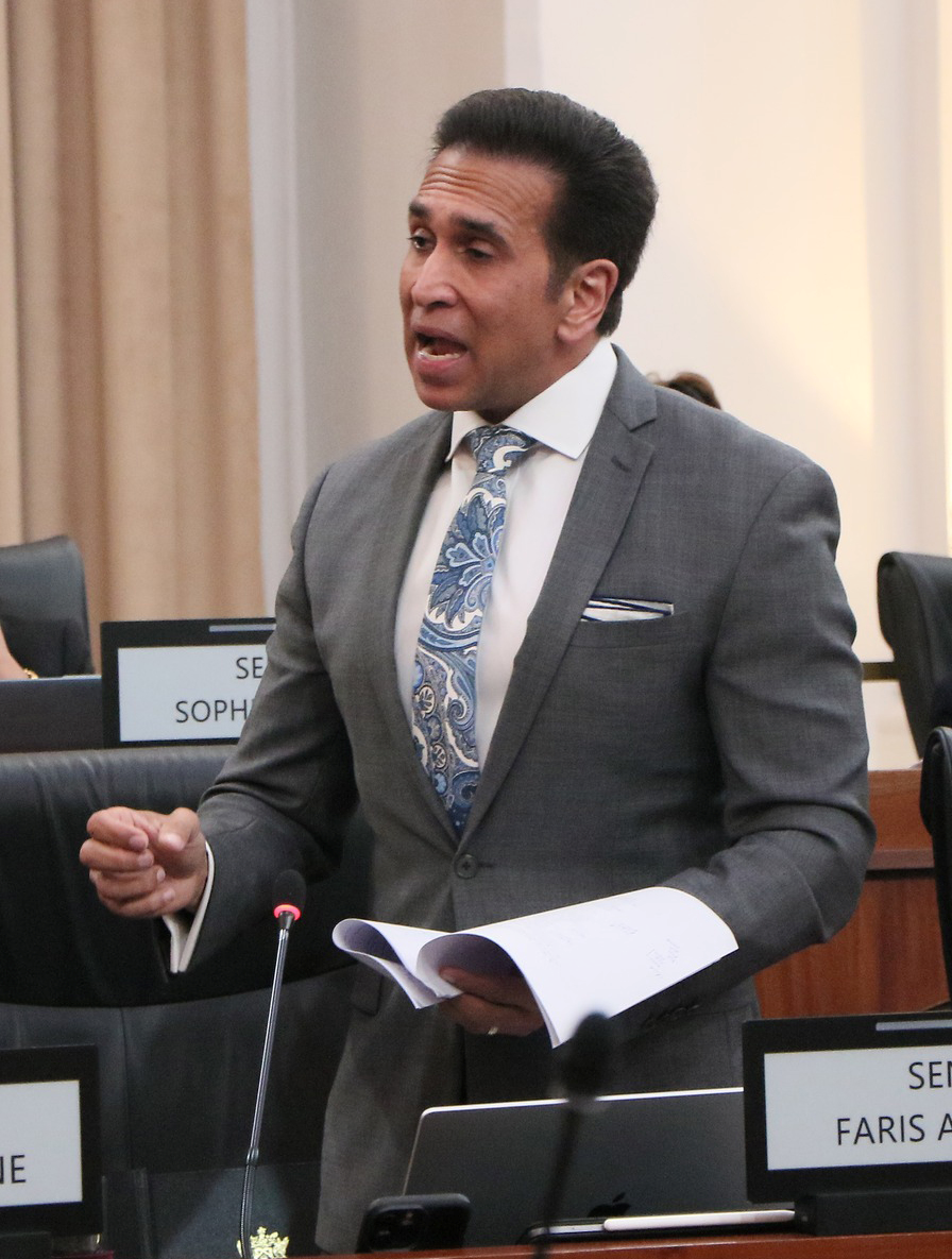 Al-Rawi questions squatters’ right to ‘stand their ground’ - Trinidad ...
